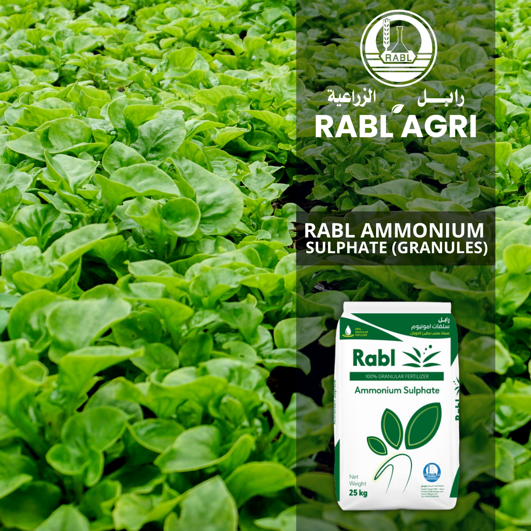 RABL Ammonium Sulphate (Granules) – Rabl Agri